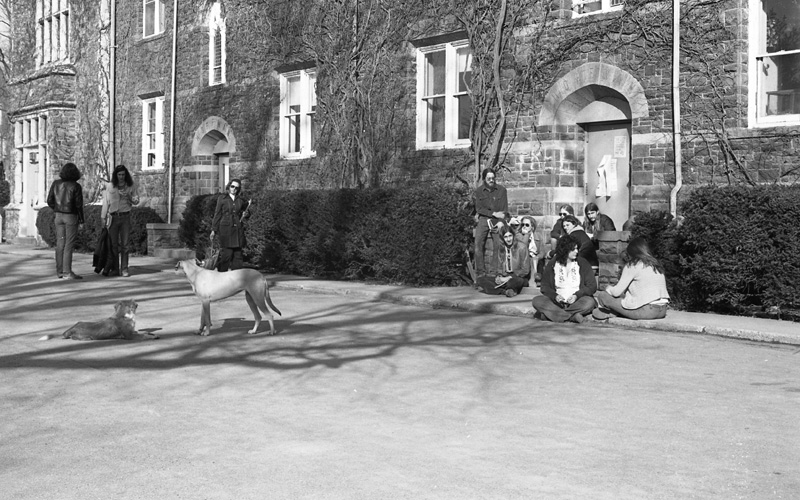 The Student Lens : Bard through the Eyes of Three Student Photographers