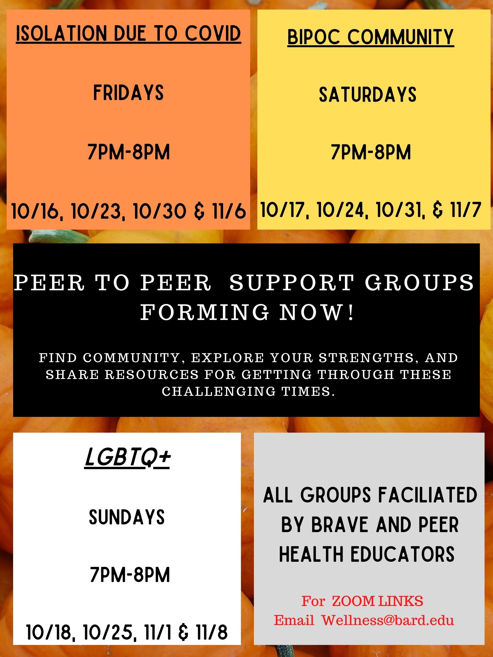Black, Indigenous, and People of Color Support Group