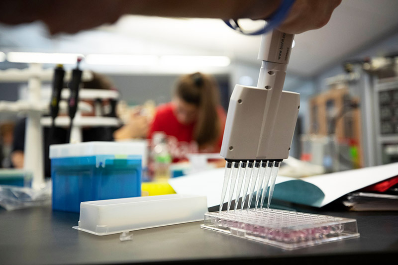 BHSEC Newark’s Gail Horowitz: For First-Generation Students, Knowing ...