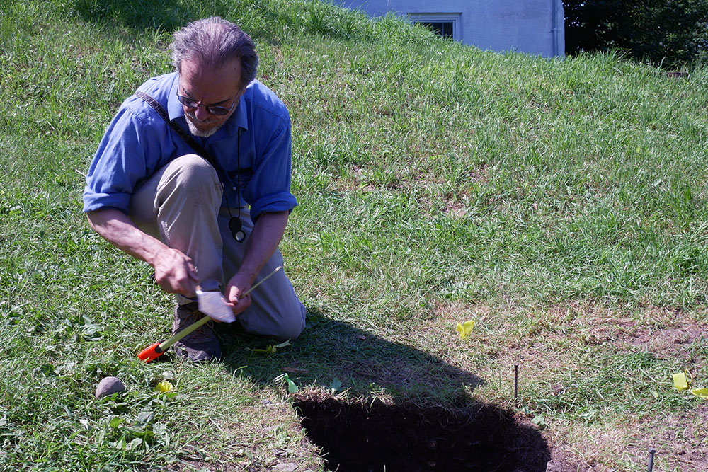 Research Spotlight: Christopher Lindner and Bard Undergraduates Uncover ...