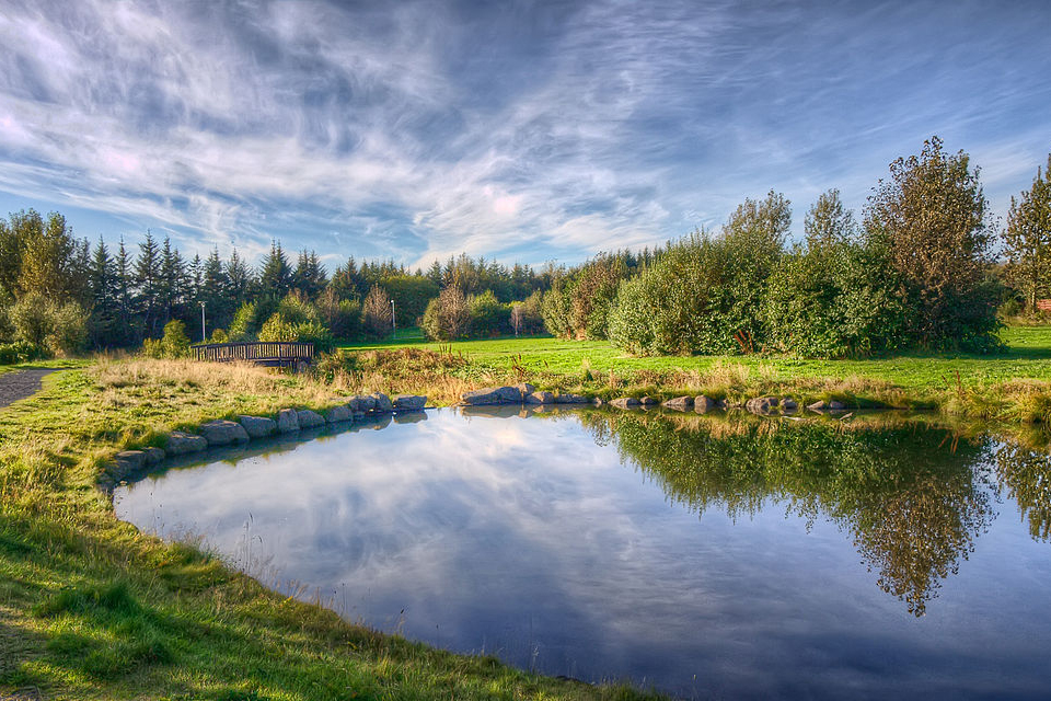 “What Is a Pond?”: New Study Coauthored by Bard Professor Robyn L ...