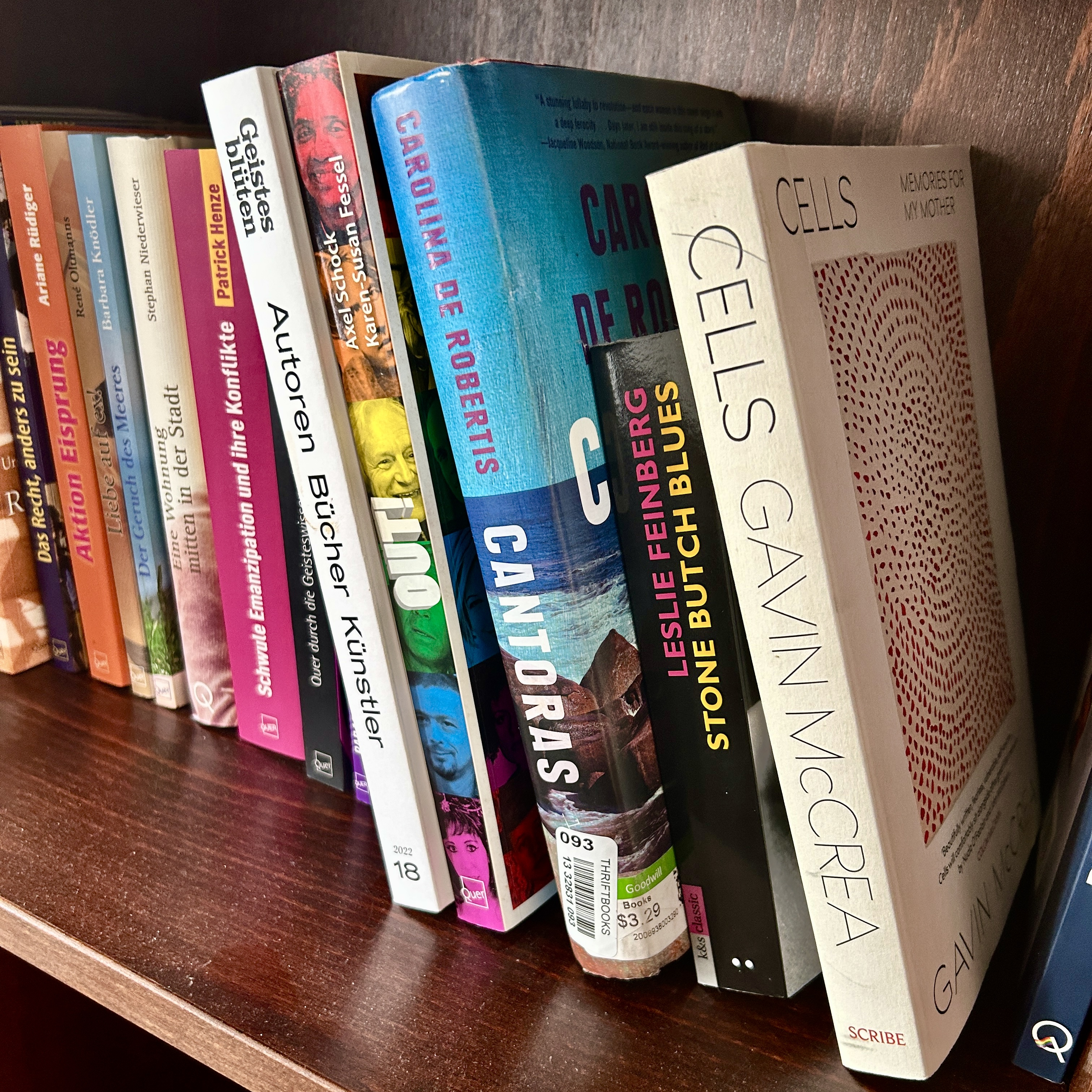 LG(BCB)TQ+ opens queer library and accompanying digital archive