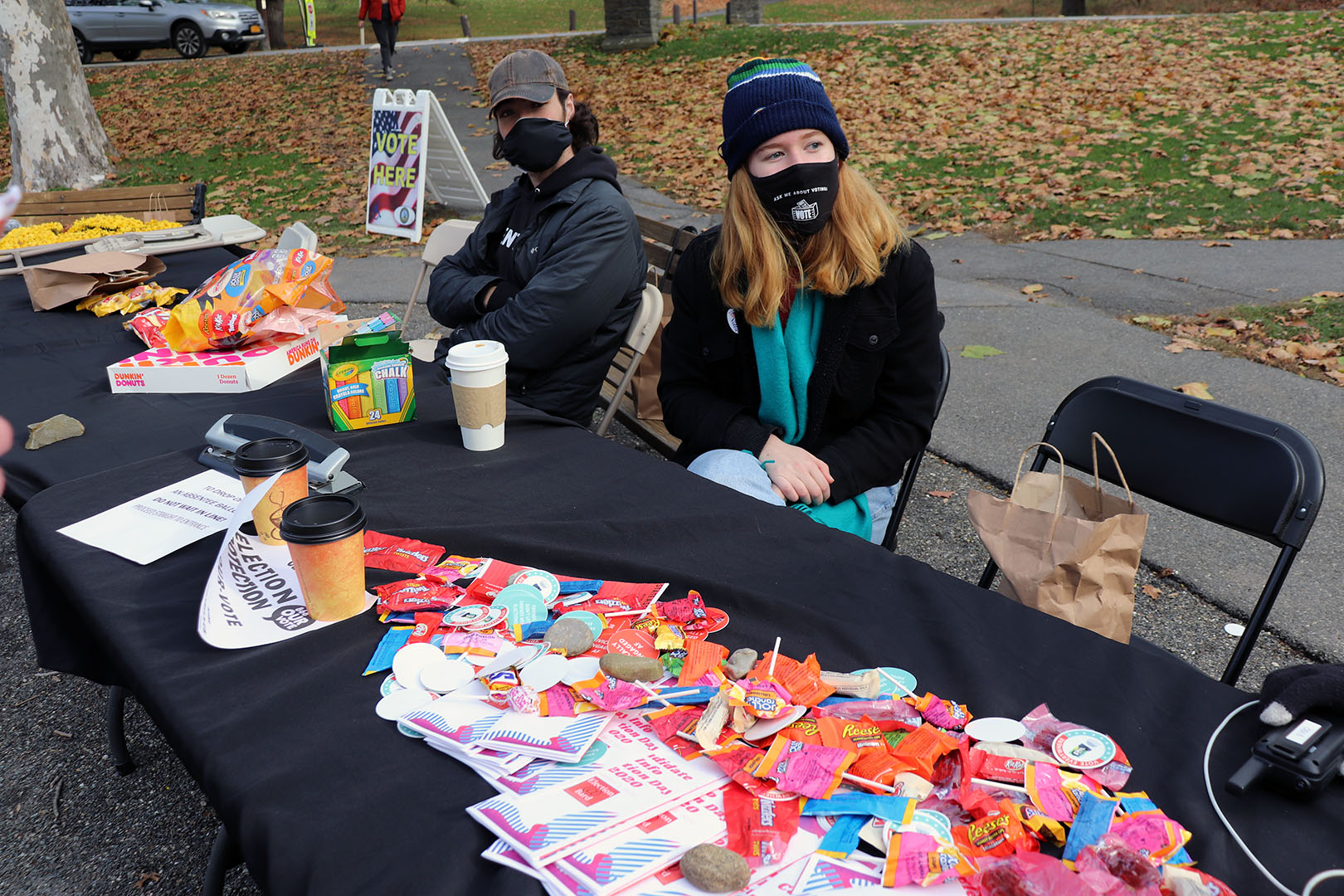 Q&A With Bard Students: Why Vote?