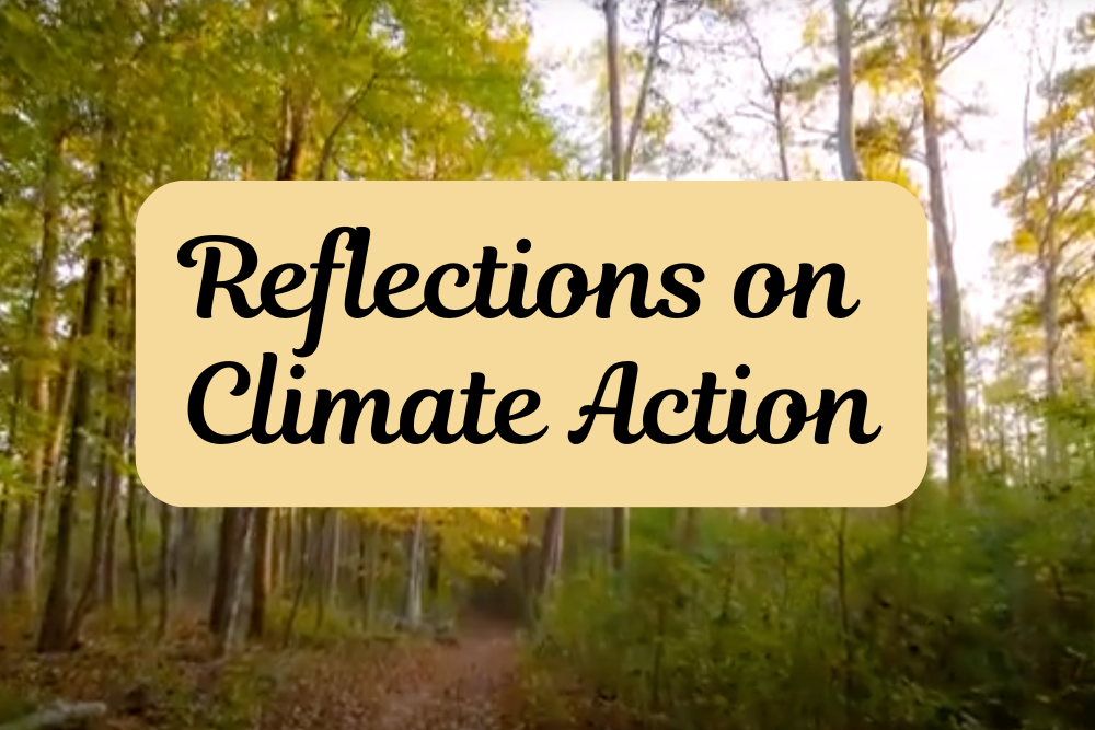 Beyond Zero: A Film Sparks Hope, Reflection, and Dialogue about Climate ...