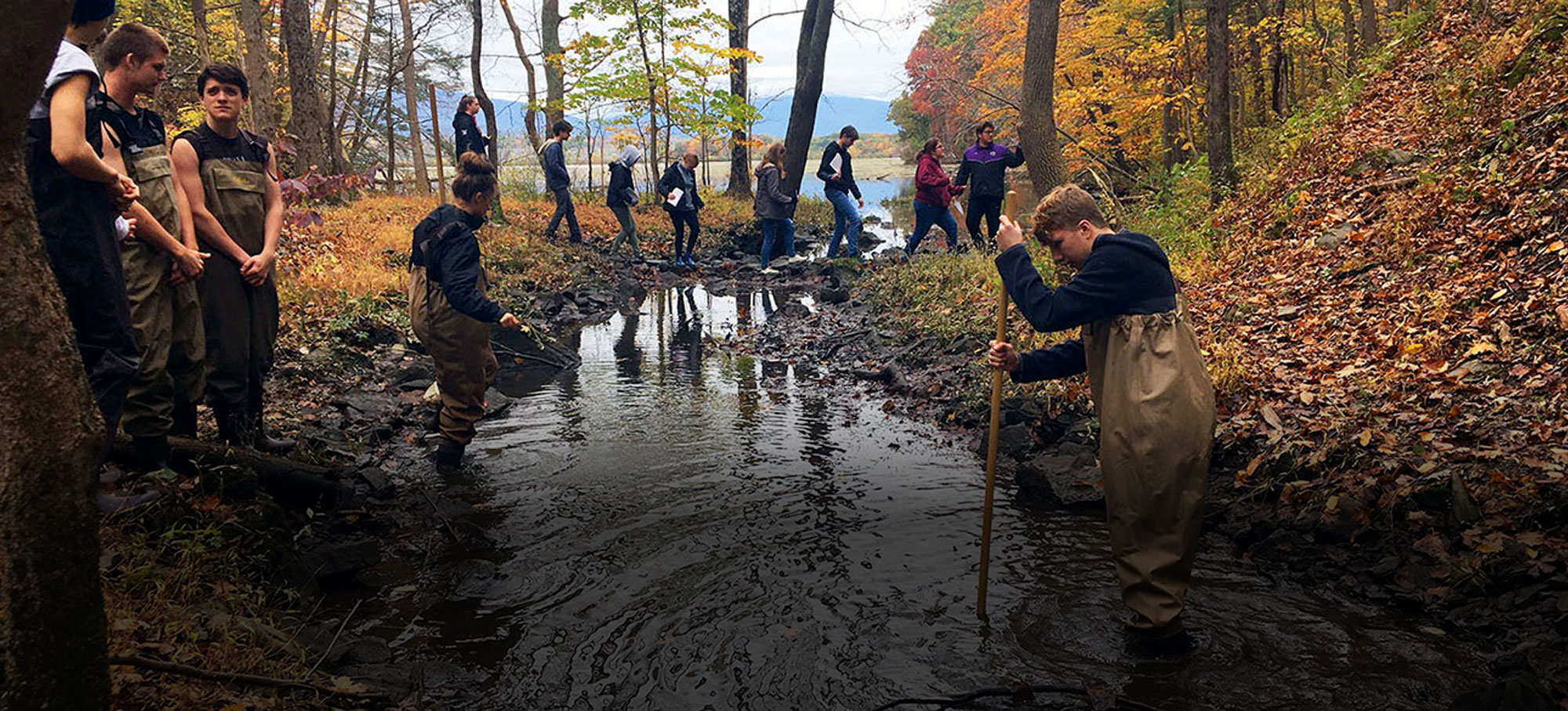 Volunteer Opportunities