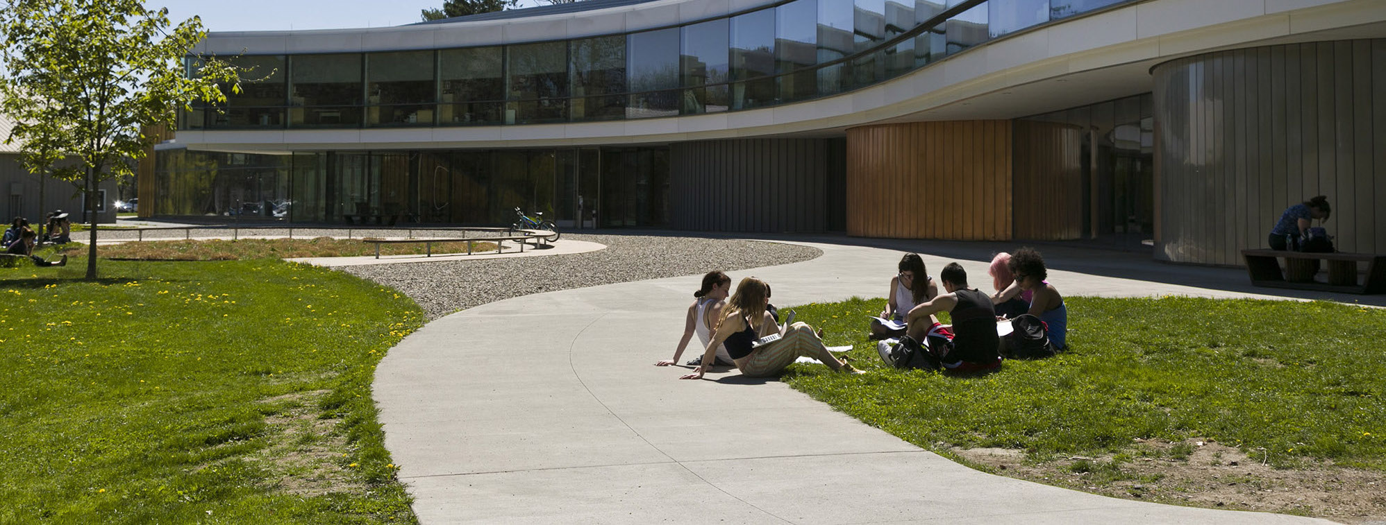 Additional Study Opportunities