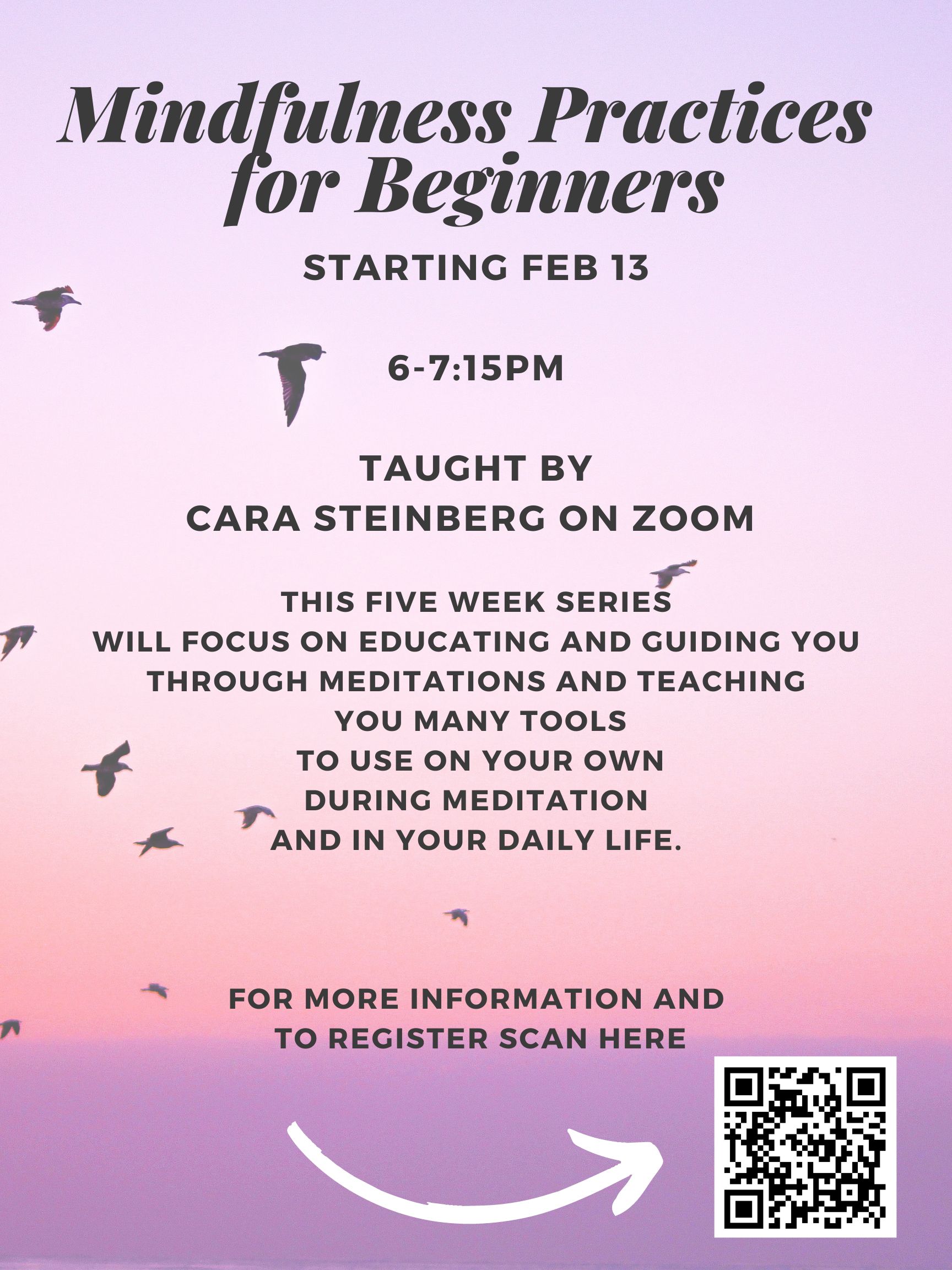 Mindfulness for Beginners on Zoom with Cara Steinberg from Holding the ...